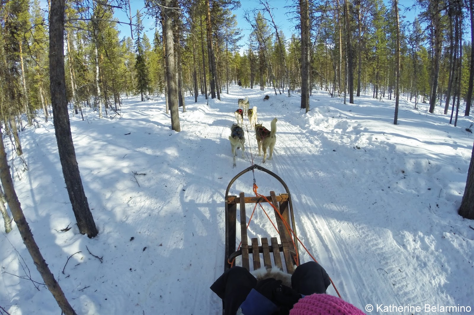 Exciting Outdoor Winter Activities in Sweden’s Lapland | Travel the World