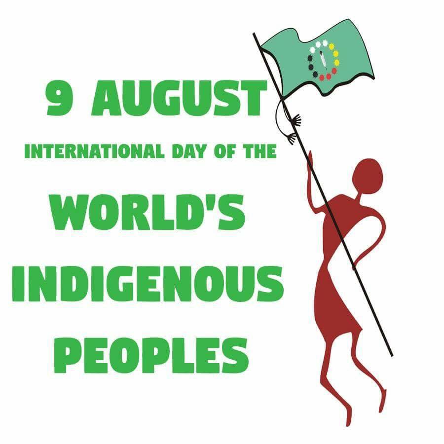 Hundreds of Flags were Flown in India • Indigenous Unity Flag