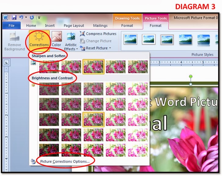 Let It Shine: Make Your Pics Pinteresting- A Photo Editing Tutorial