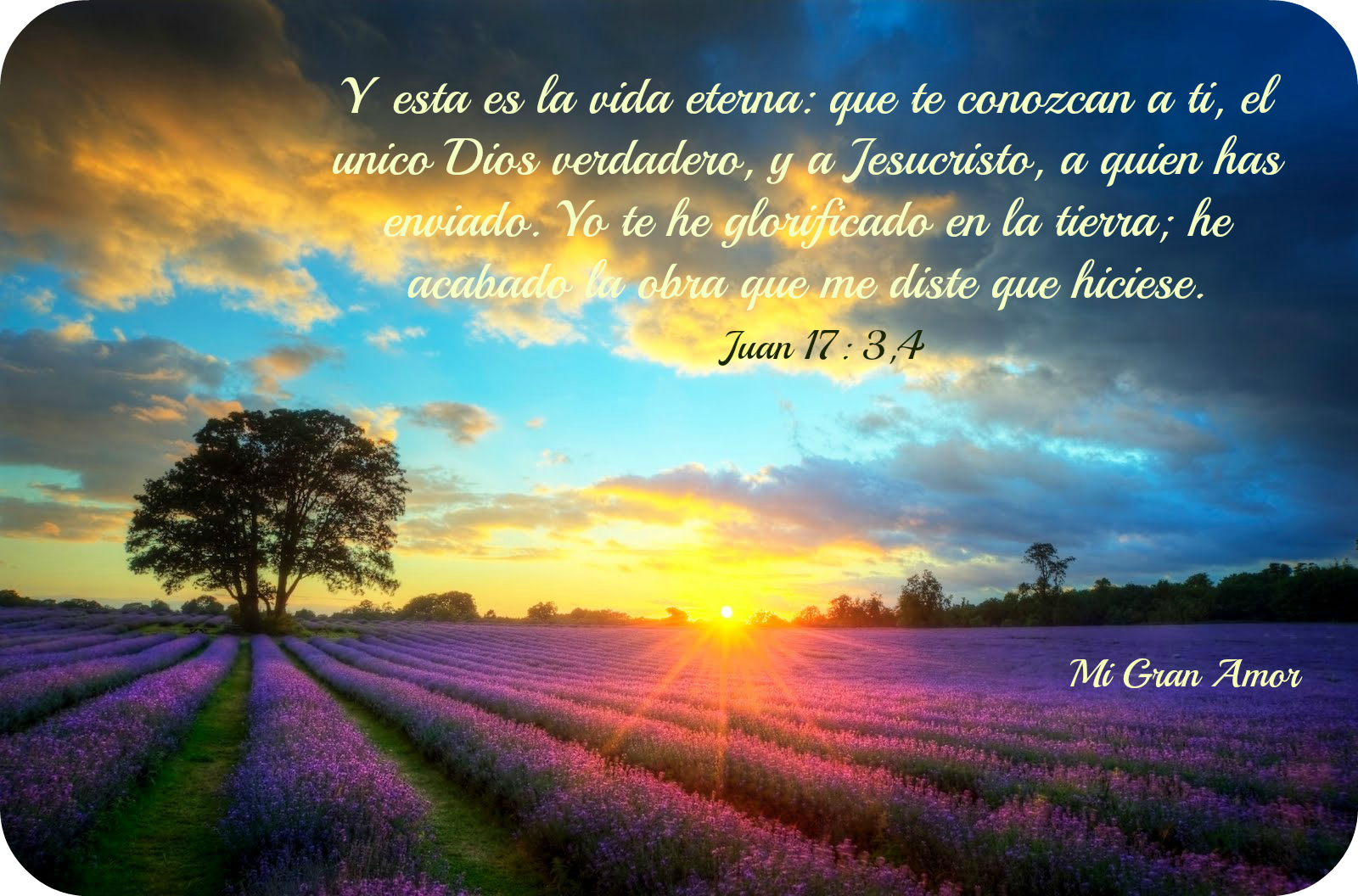 Mi Gran Amor : Esta es la Vida Eterna.