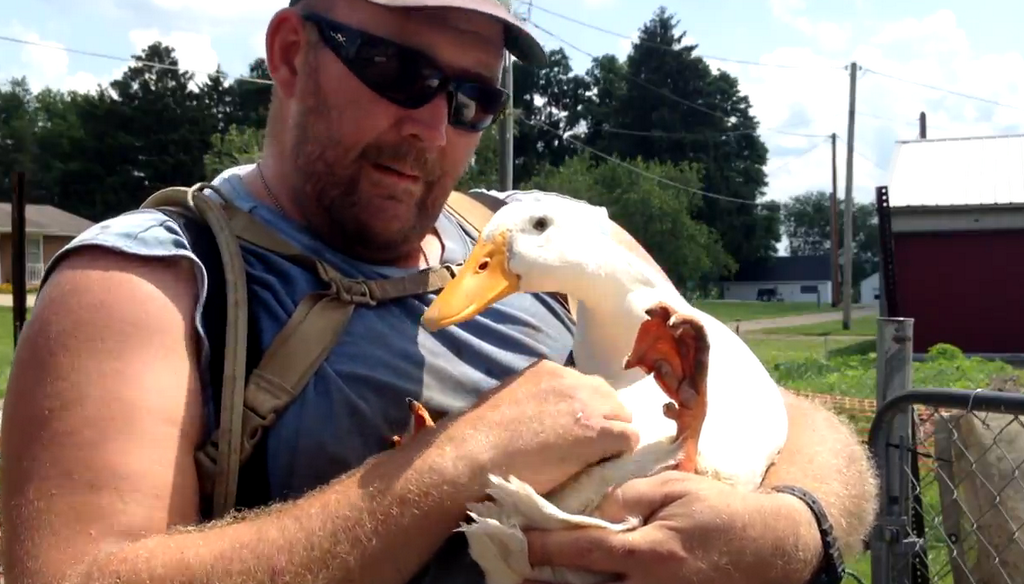 No Feather Left Behind: Bird News | Therapy Duck!