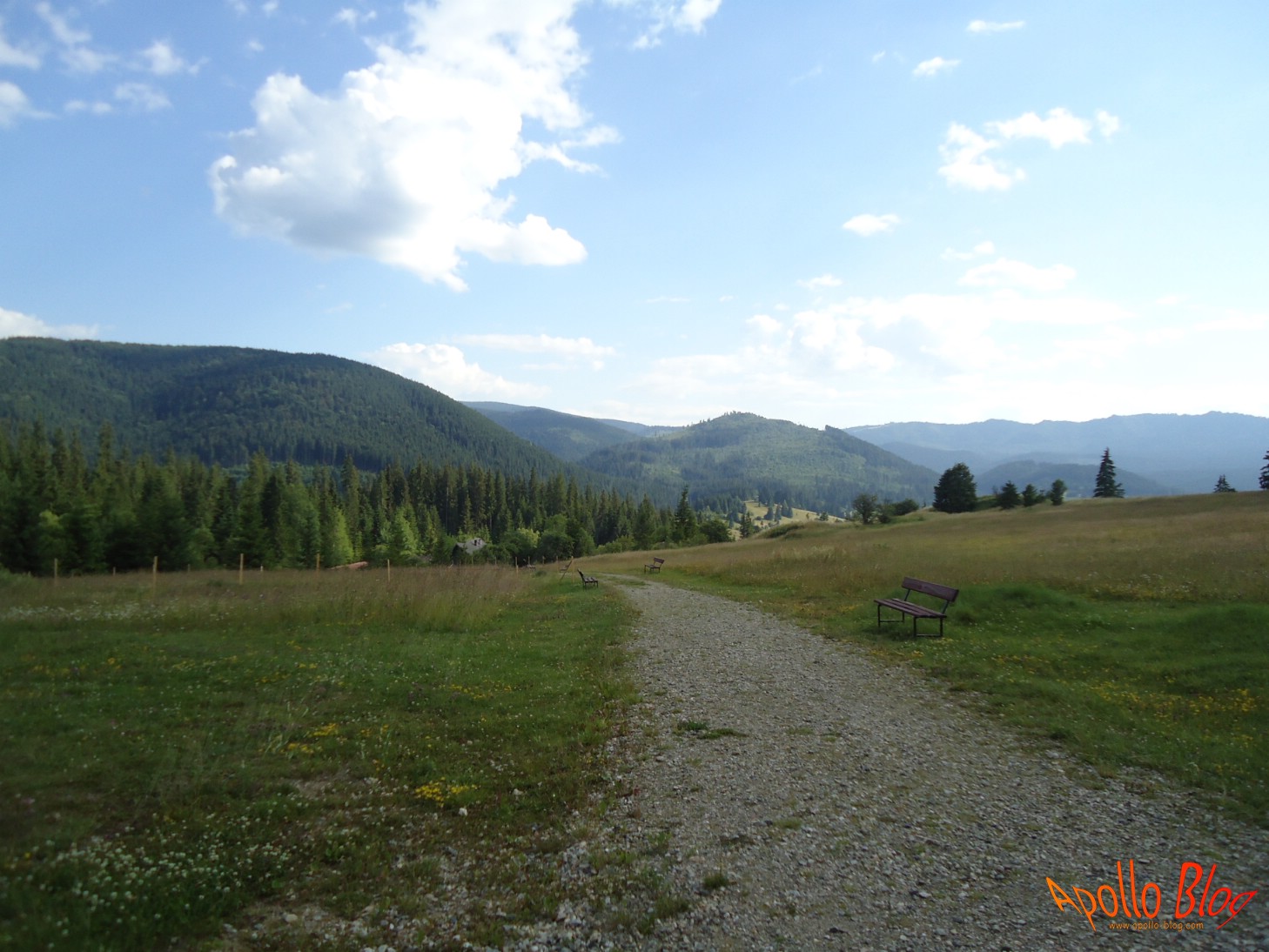 Apollo Blog: Poiana Zanelor @ Borsec