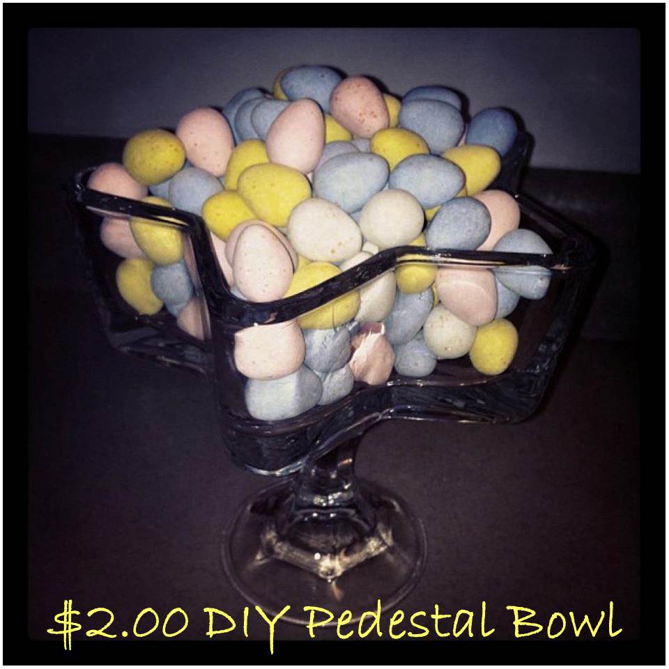 Rachelle in a Nutshell