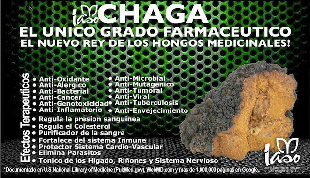 TOTAL LIFE CHANGES: PRODUCTOS