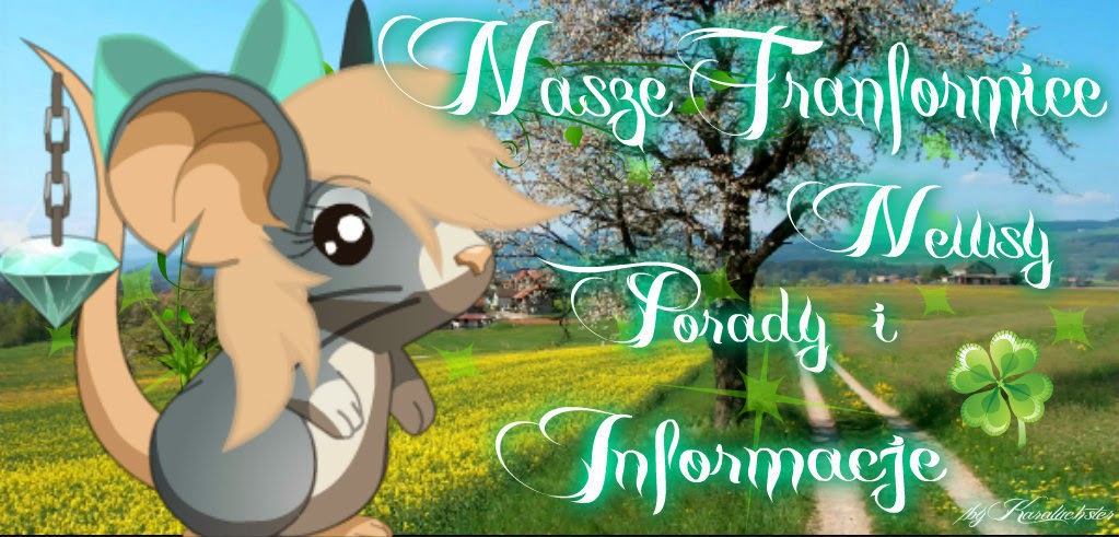 Nasze Transformice PL