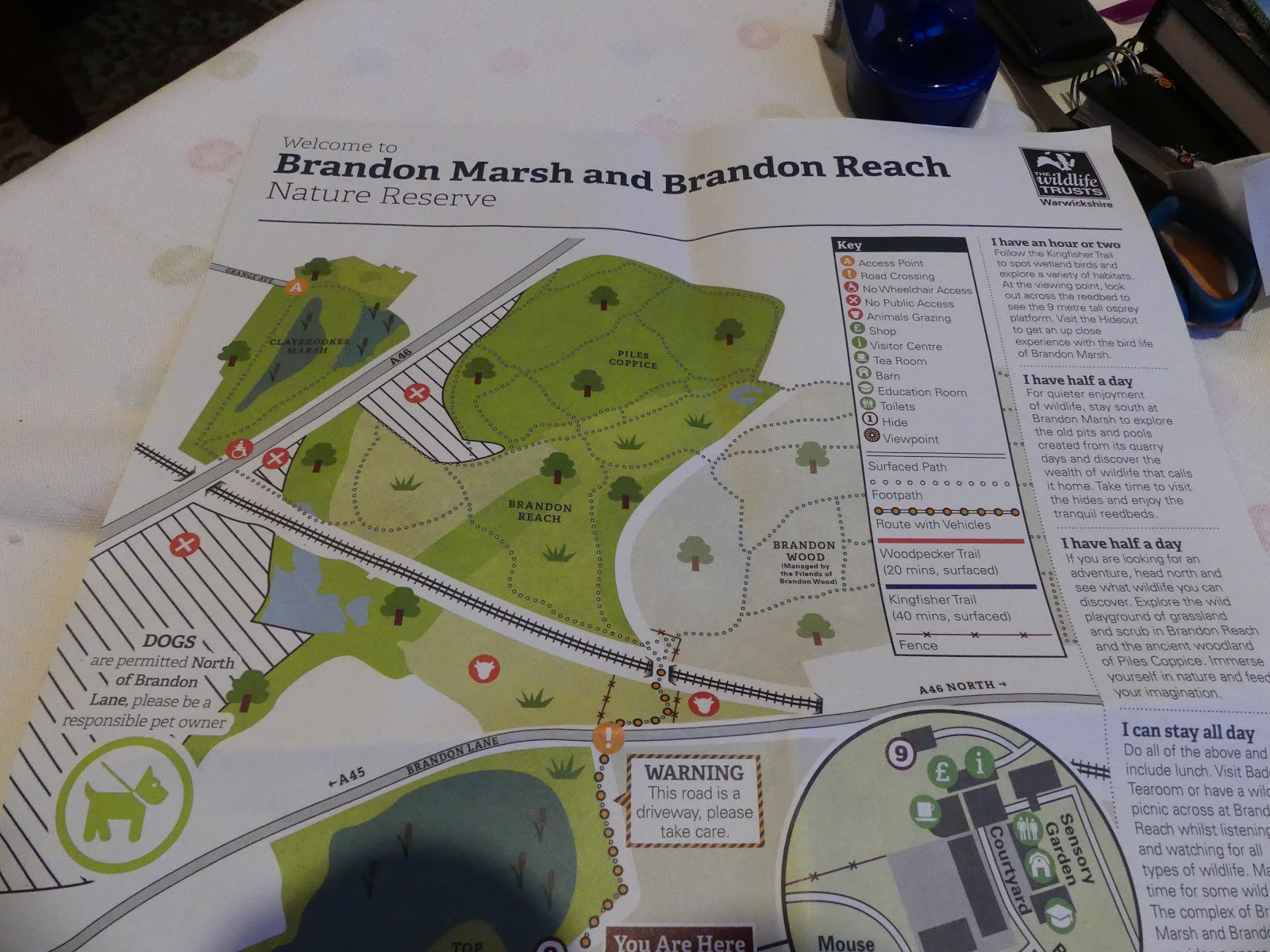Ragged Robin's Nature Notes: Brandon Marsh Nature Reserve