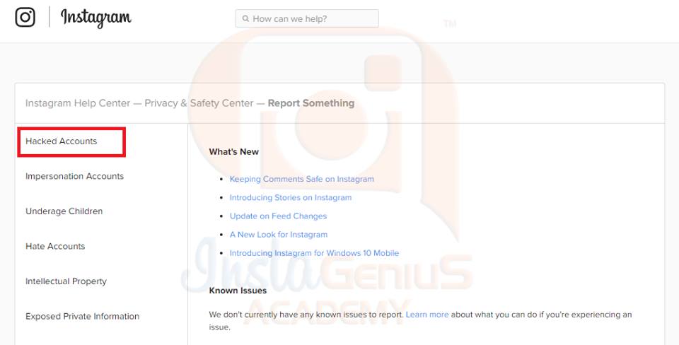 Cara Nak Dapatkan Balik Accoung Instagram Yang Kena Hack - Kaylynn-has ...