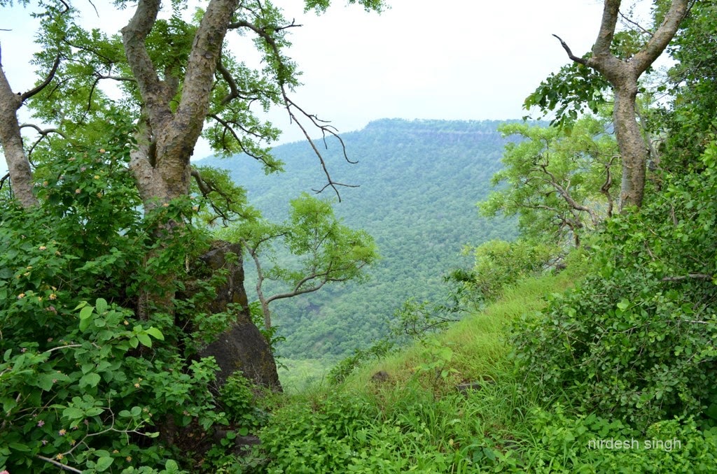 Just Tripping!: Narnala Fort - The Satpura Surprise