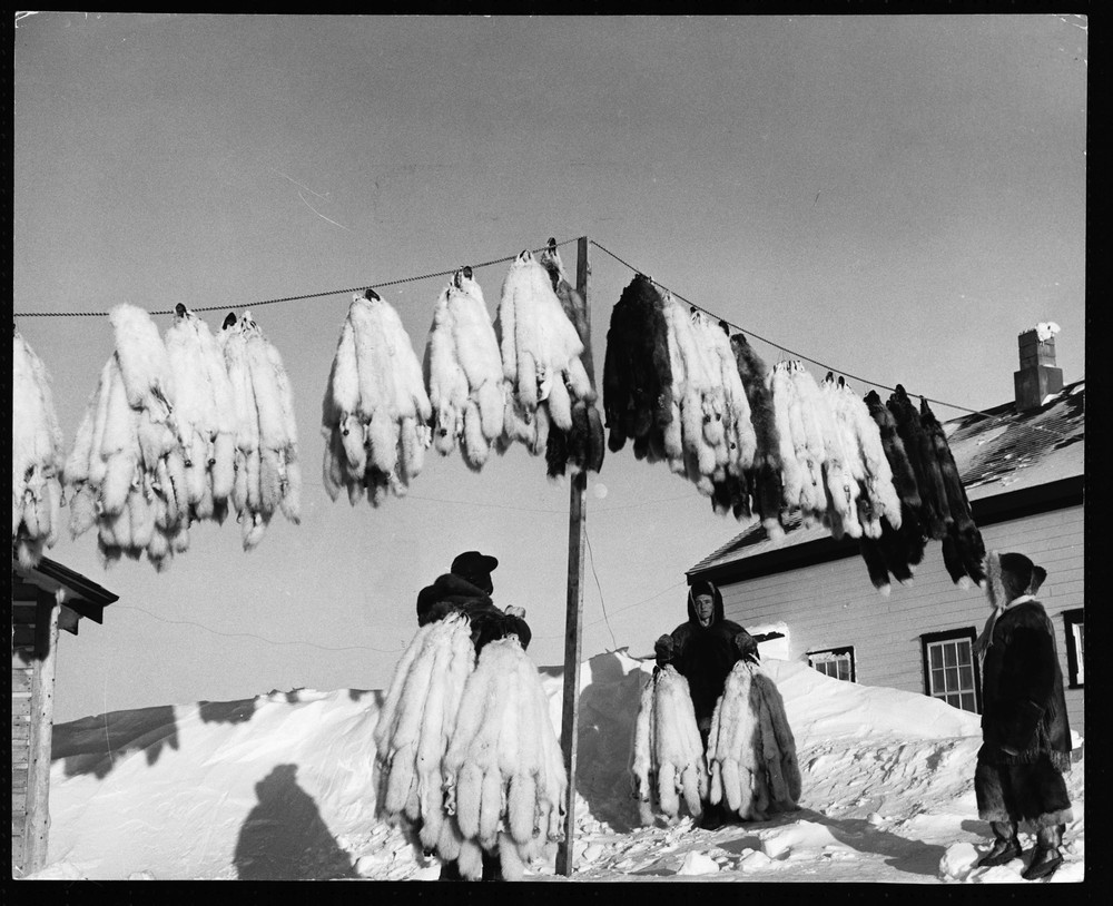 25 Amazing Vintage Photographs That Capture Everyday Life of Inuit ...