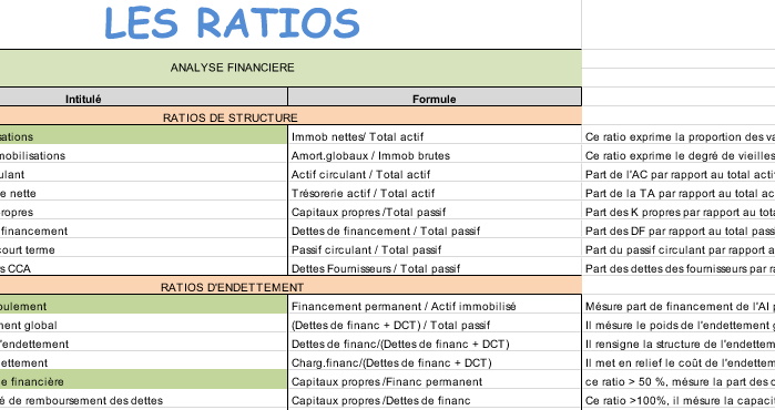 Guide - Ratios financiers | Cours fsjes