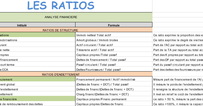 Guide - Ratios financiers | Cours fsjes