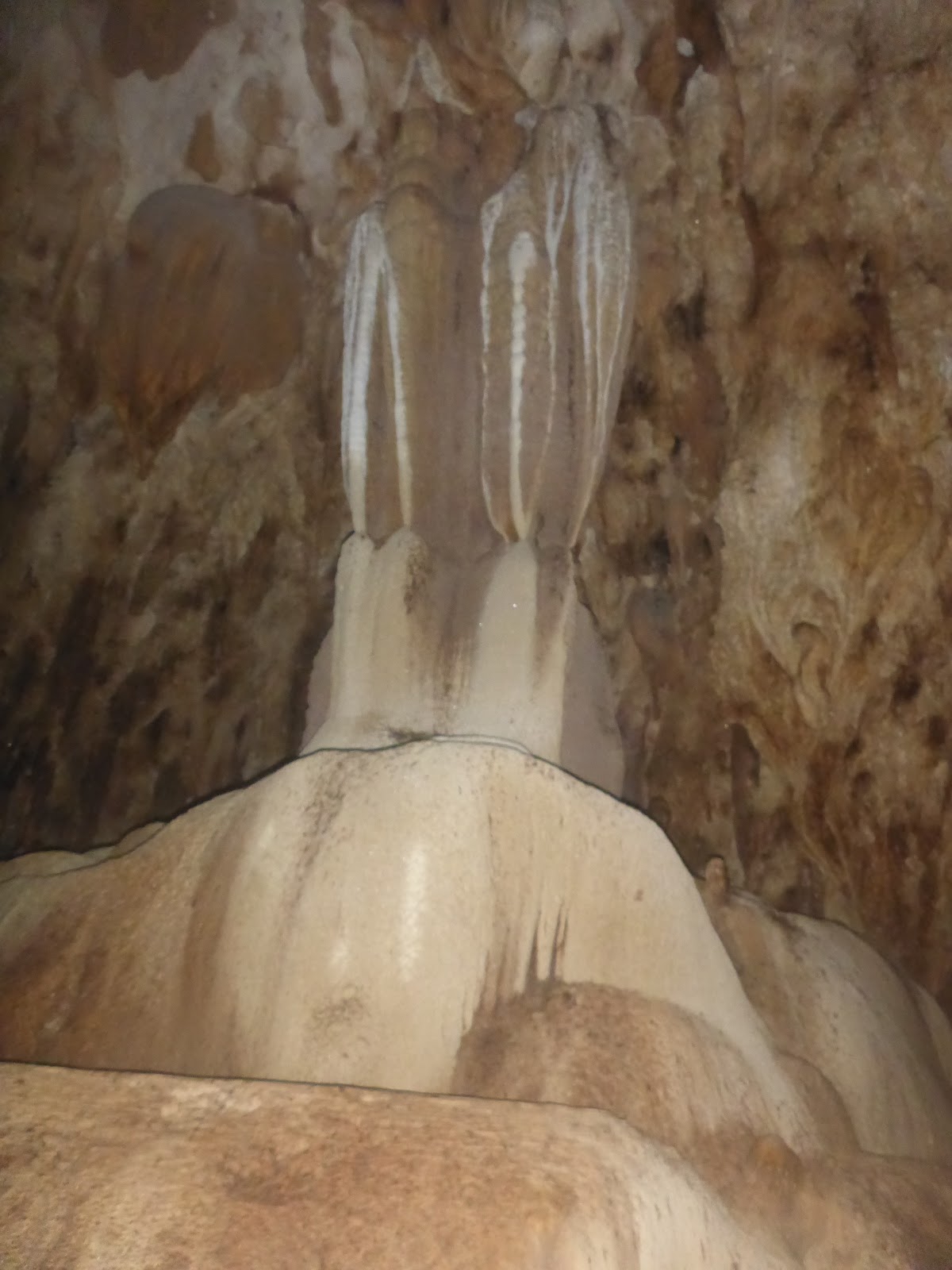 There were also these weird glow in the dark string like objects hangin ...