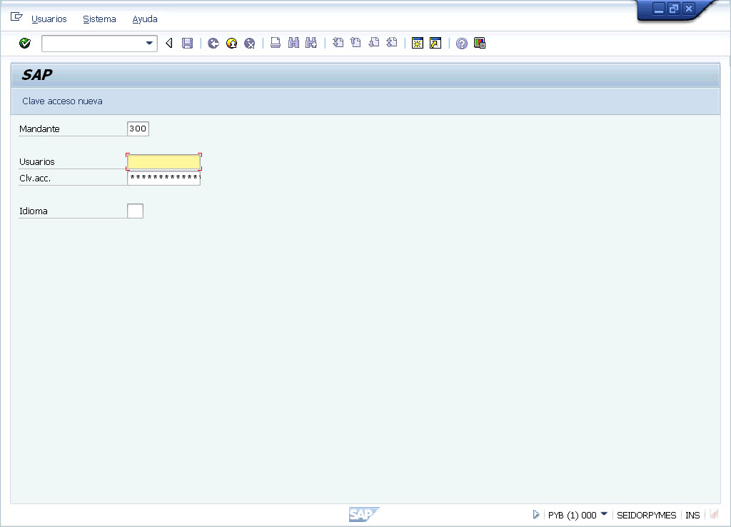 Código de Retorno: Conseguir acceso a un servidor SAP - 2º parte