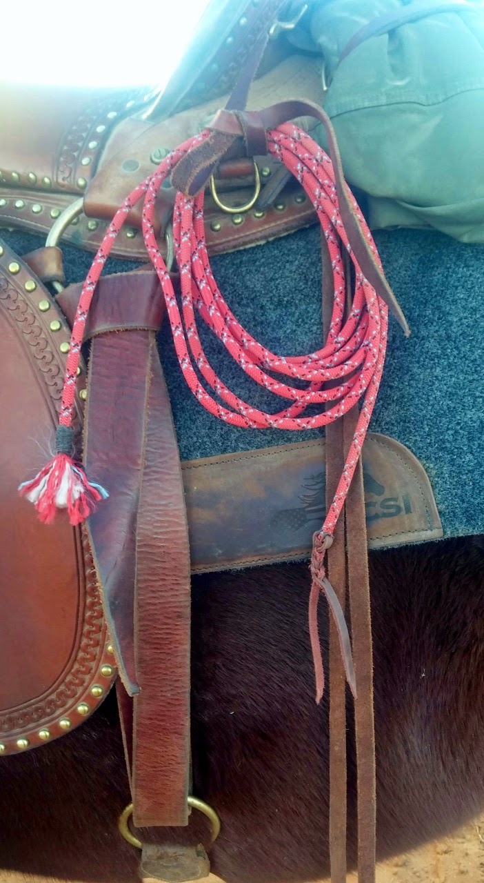 Functional Horsemanship: Tack Tip - More Than a Get Down Rope