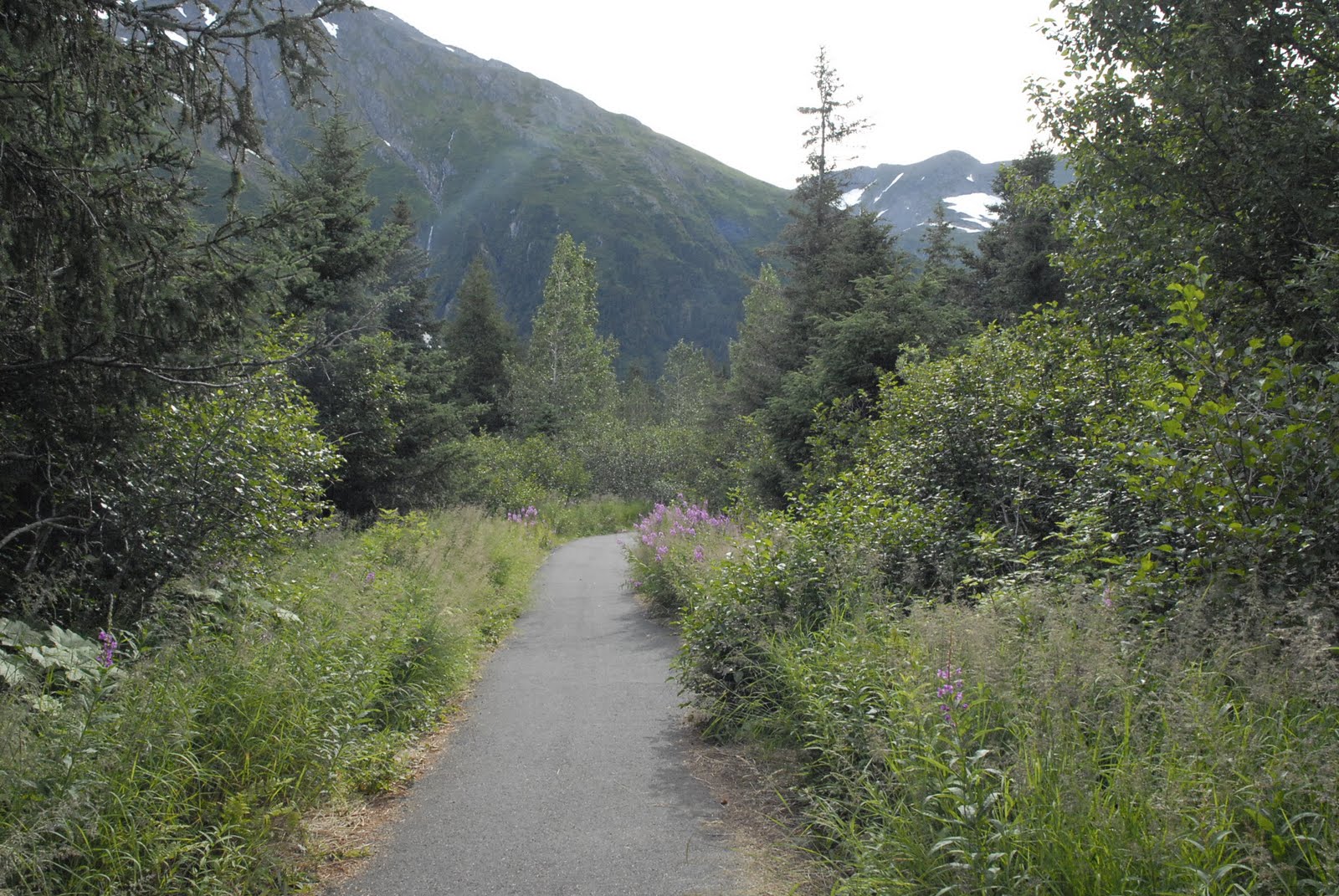 Alaska Whittier: Trail Of Blue Ice (Visitors Center & Byron Glacier ...
