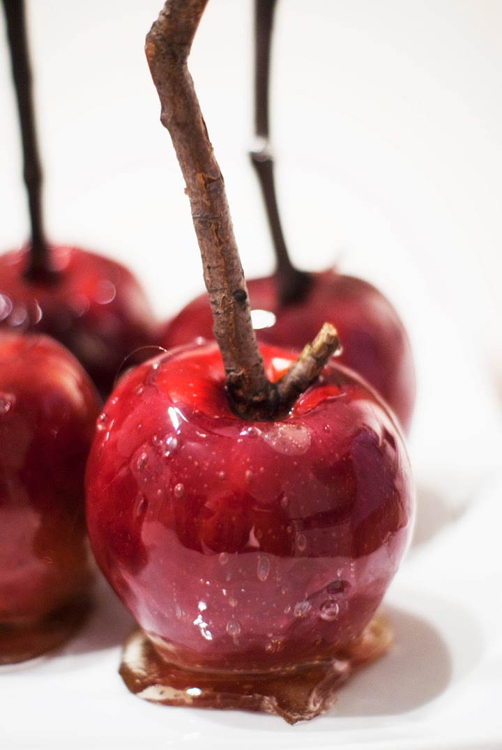 fox and gypsy: {red} candied apples