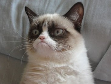 Grumpy Cat Angry Face | Funny Collection World