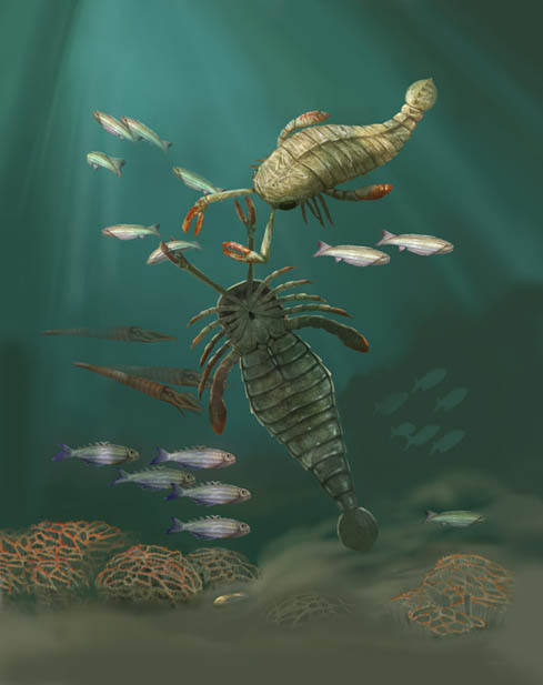 Sejarah dan pengetahuan: The Silurian 443 to 417 Million Years Ago