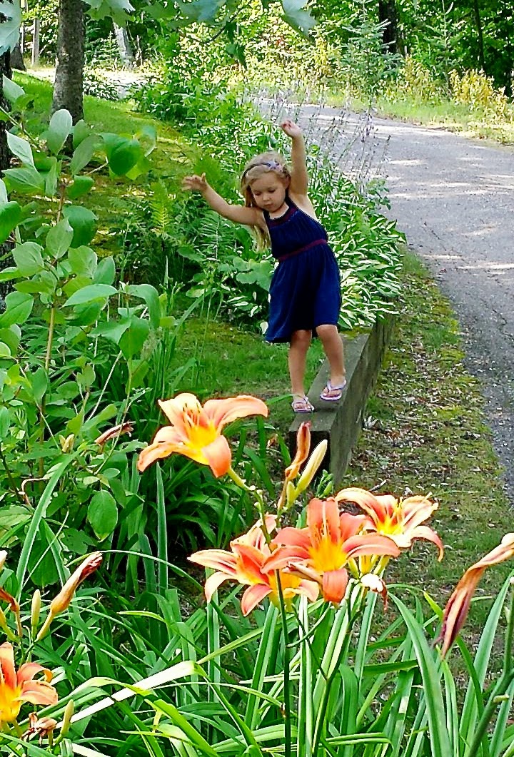 The Plot Thickens | Roxanne Henke