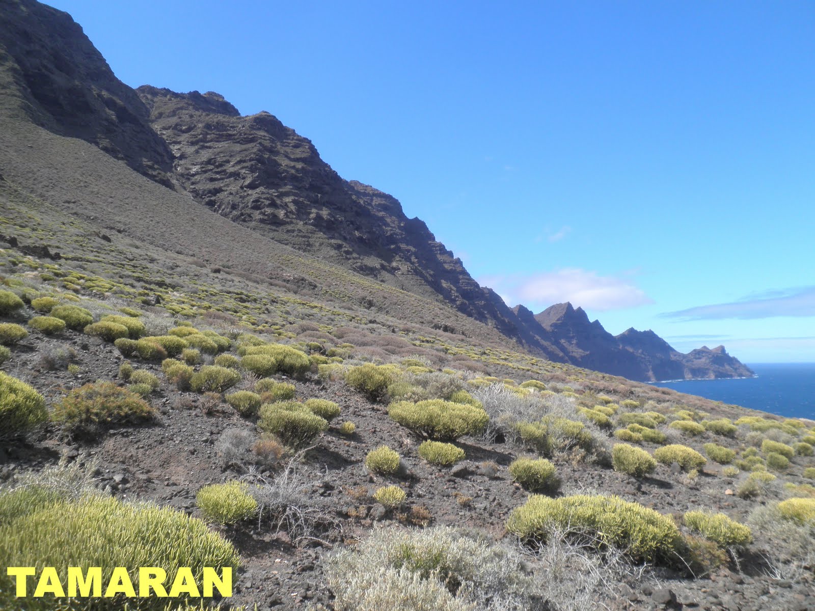 TAMARAN: ARTENARA DE TAMARAN FORMACIONES GEOLOGICAS PLAYAS VIRGENES