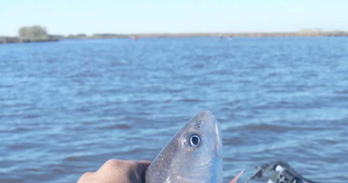 FishxScale: Too Cold Cypremort Point Turkey Trout Shootout 2016