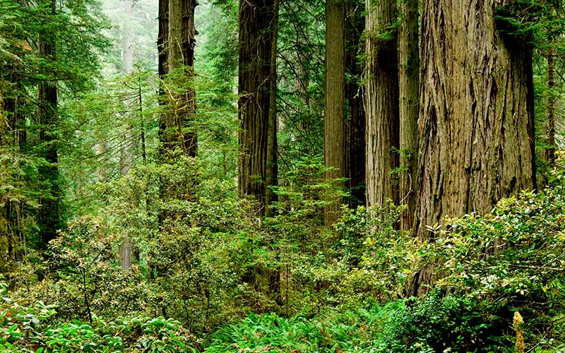 Enseñanza de la biología con TIC's: BIOLOGÍA