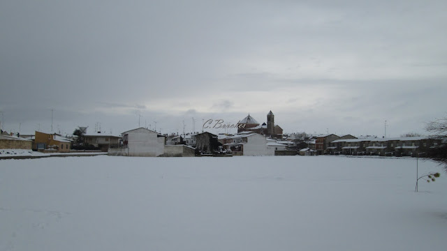 C.Borches Photography: Nevada Enero 2017 en Alborea (Albacete)