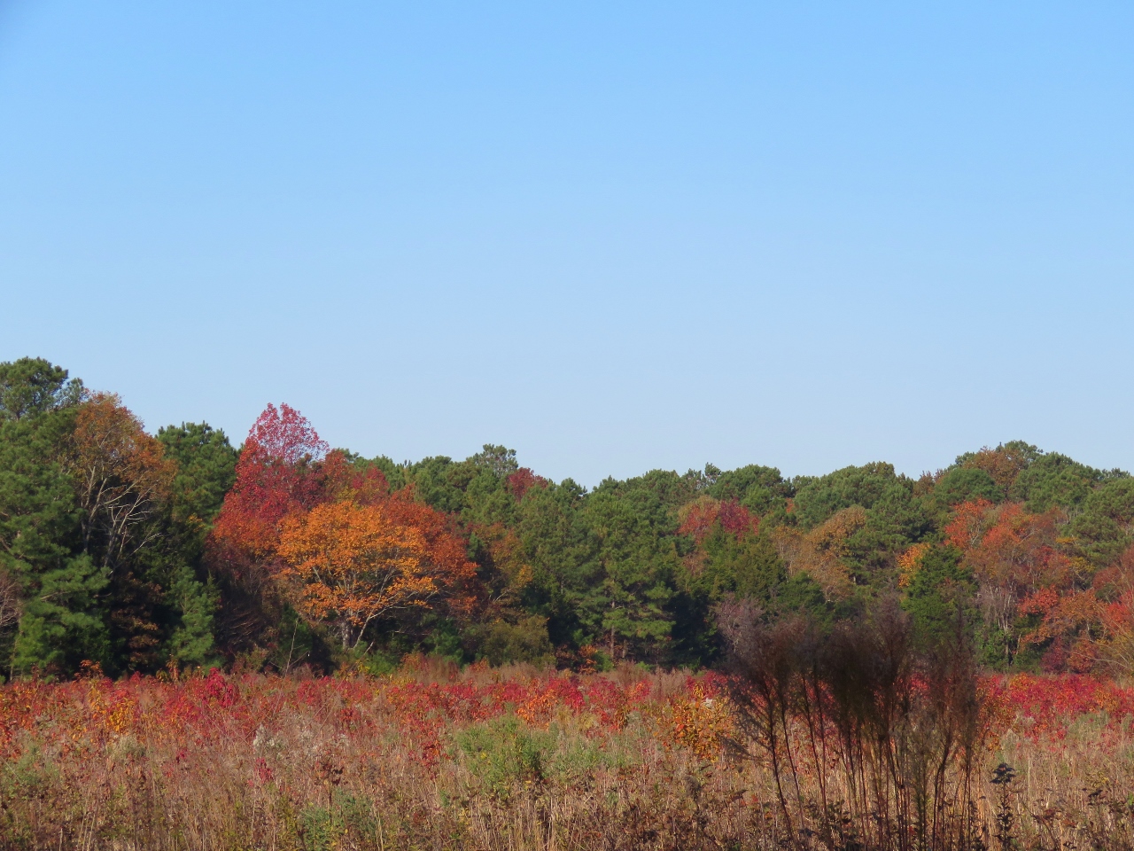 Gone Hikin': Prime Hook National Wildlife Refuge, DE
