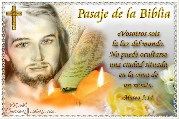 Vidas Santas: Santo Evangelio según san Mateo 5:14