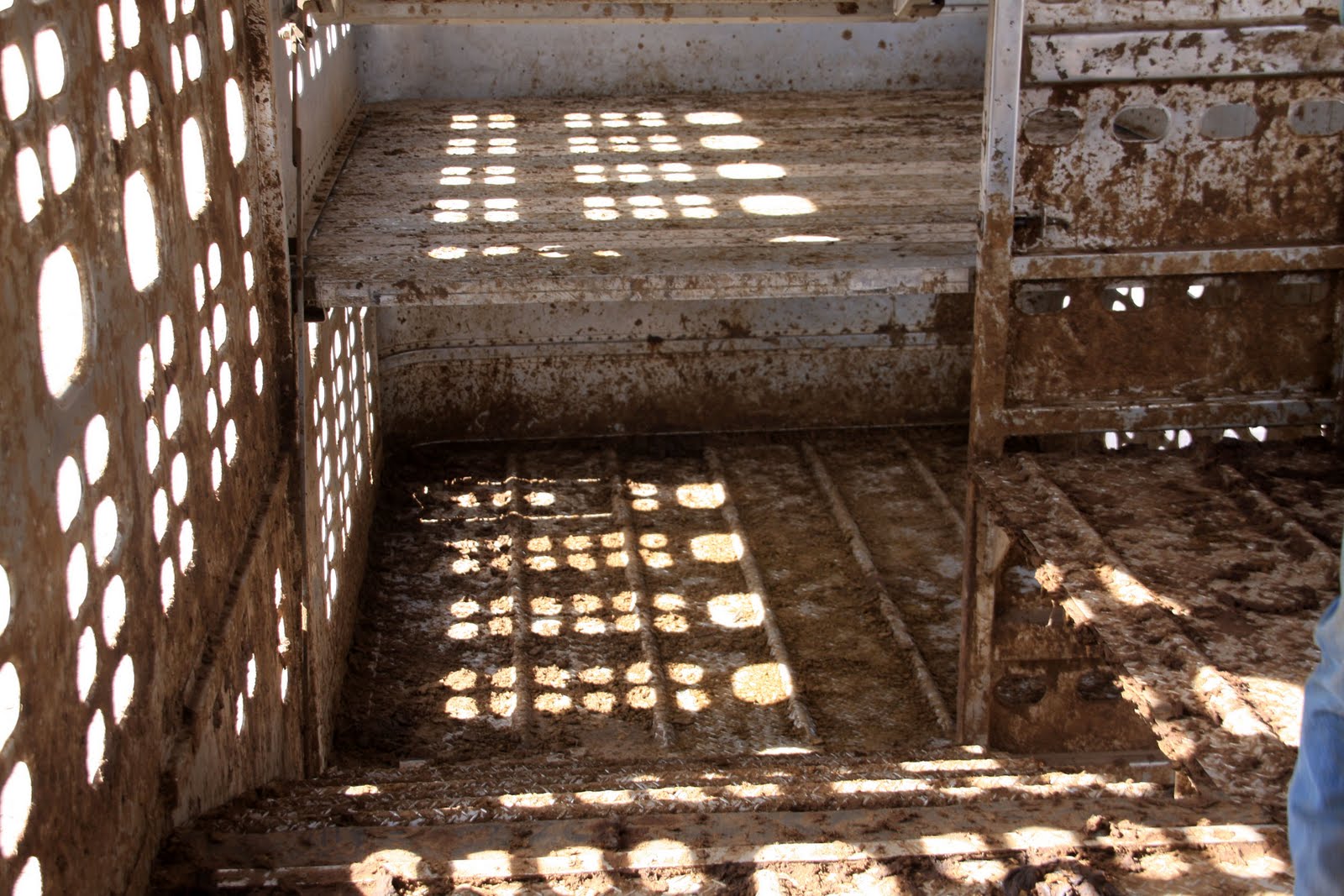 Double H Photography: Loading a Cattlepot