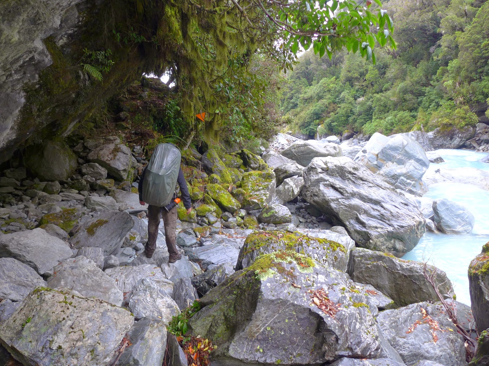 Wazza's Wanderers : Whymper Hut, Whataroa Valley.