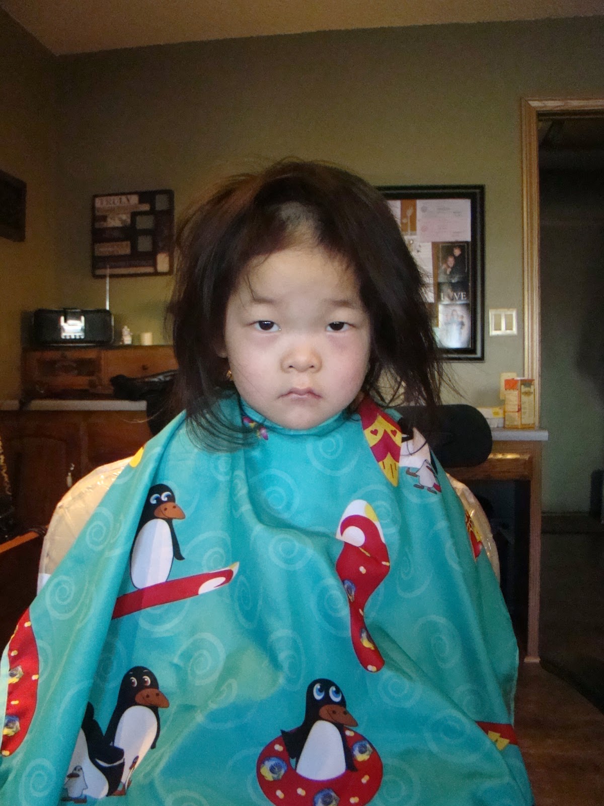 Mustard Seed Farm: Surprise Haircut