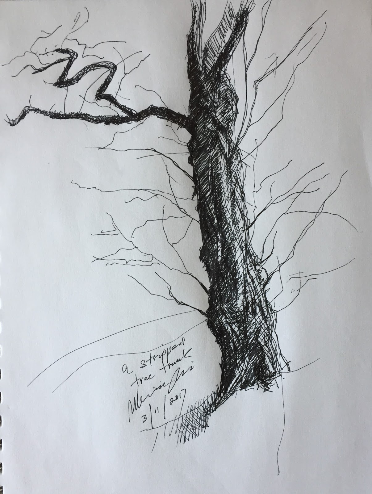 Weimin Mo - Artist of Sunshine: Sketch: A Stripped Tree Trunk