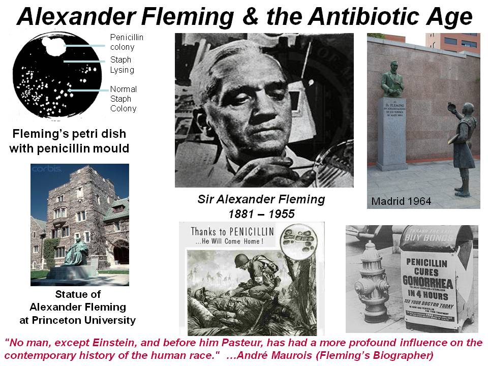 ektalks: Alexander Fleming: Penicillin, Antibiotics, Nobel Laureate, World Ambassador
