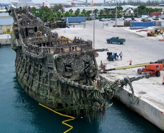 Random Pictures: davy jones