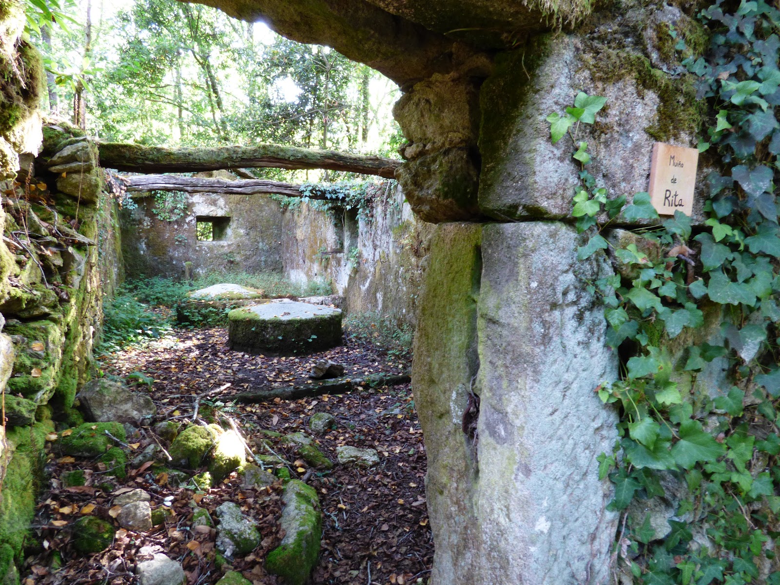 El Saúco: noviembre 2017