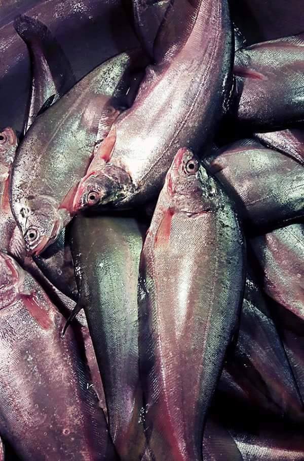 Popular Fishes In Odisha - Odia Khana Khazana | Odisha Recipes | Odisha ...