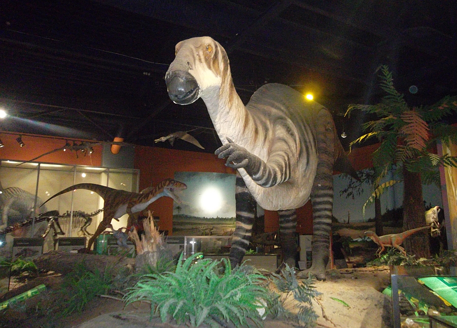 Love in the Time of Chasmosaurs: Dinosaur Isle