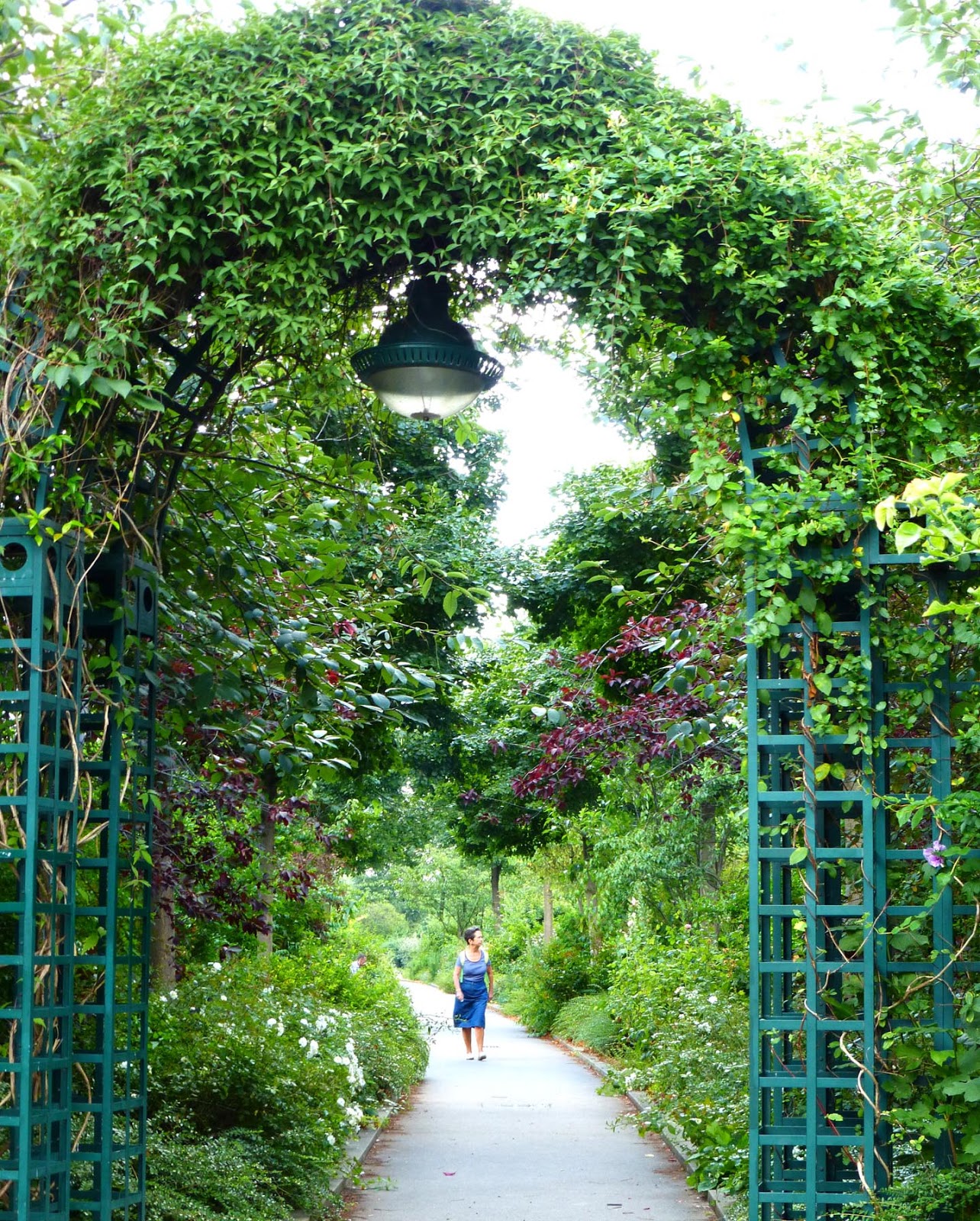 greenjottings: A Paris garden in the sky