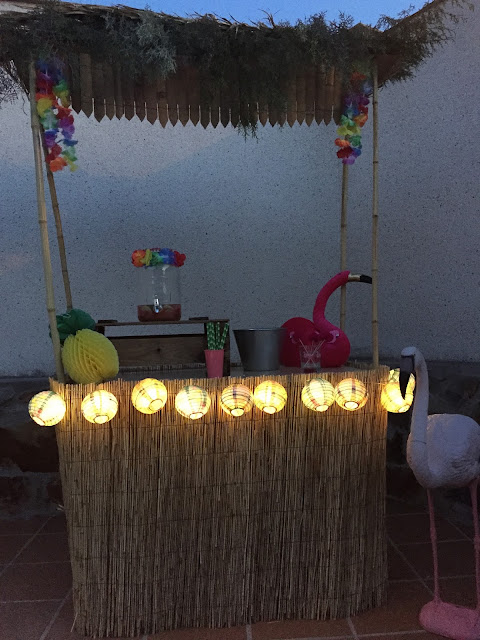 Si es Fiesta es Fiesta: Nuestra Pool-Party!