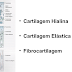 Tecido Cartilaginoso e Cartilagem - Enciclopédia Global™