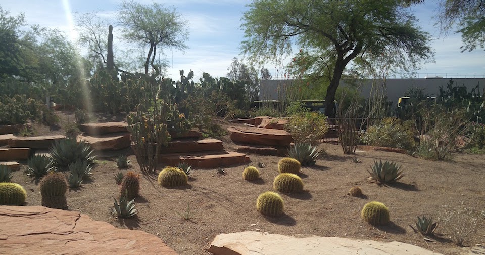 Wandering Soul!!: Ethel M Chocolates' Botanical Cactus Garden, Nevada