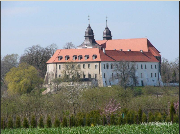 Historia Polski: Mogilno