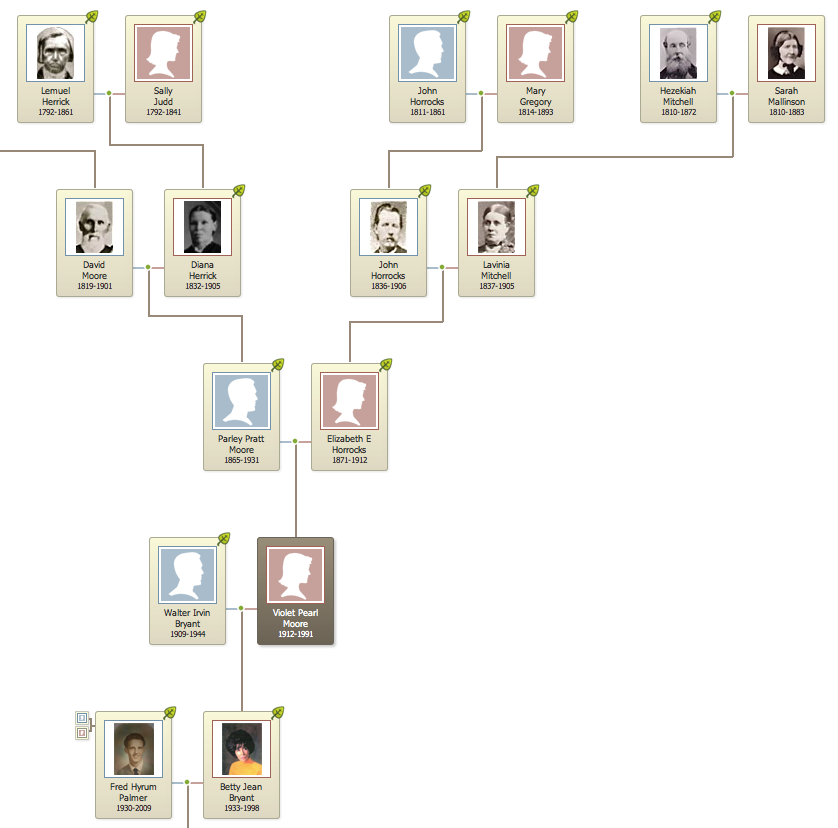 My Pioneer Heritage: Different Views of Family Tree