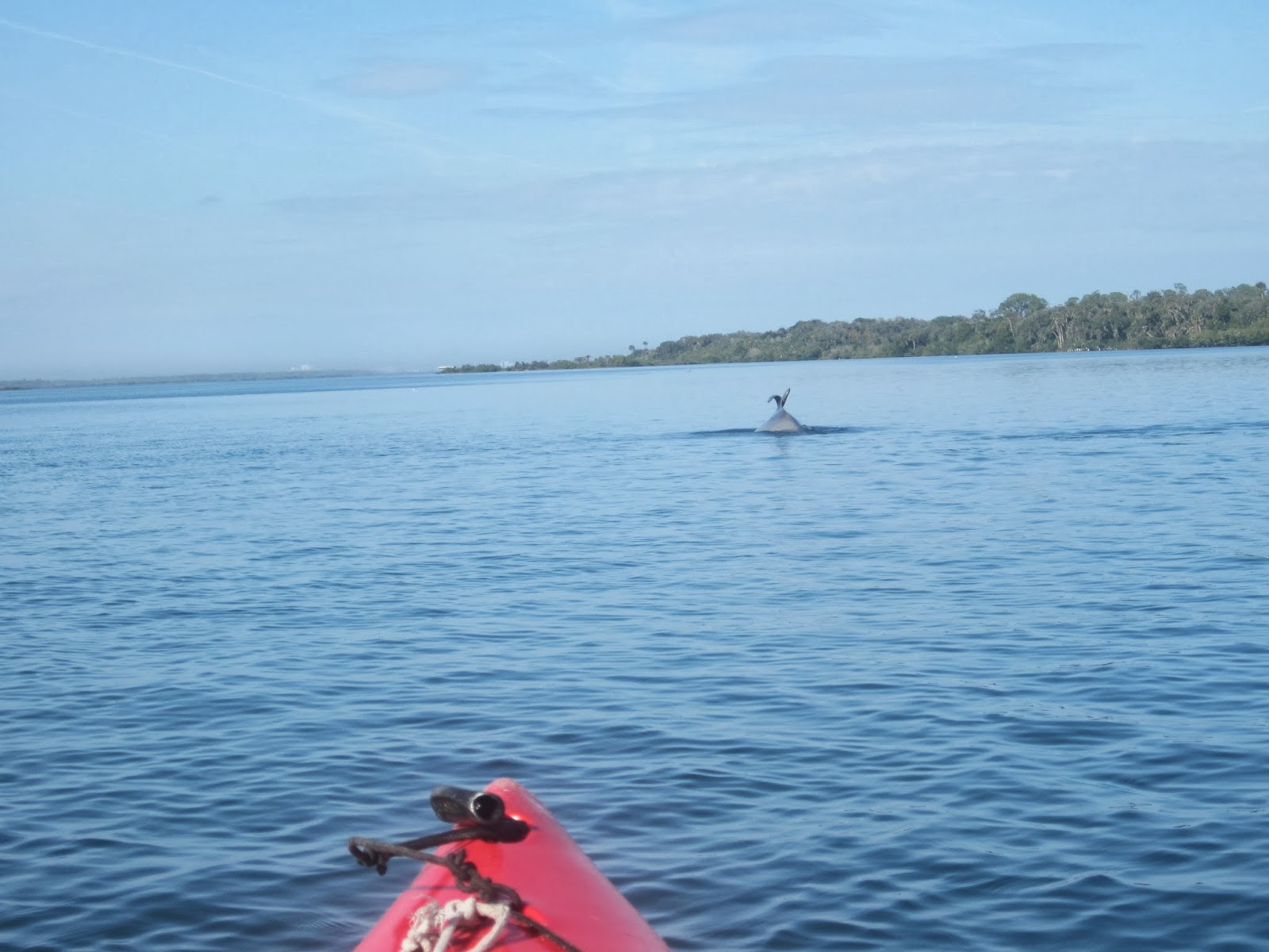 Dave's Yak Tales: Mosquito Lagoon