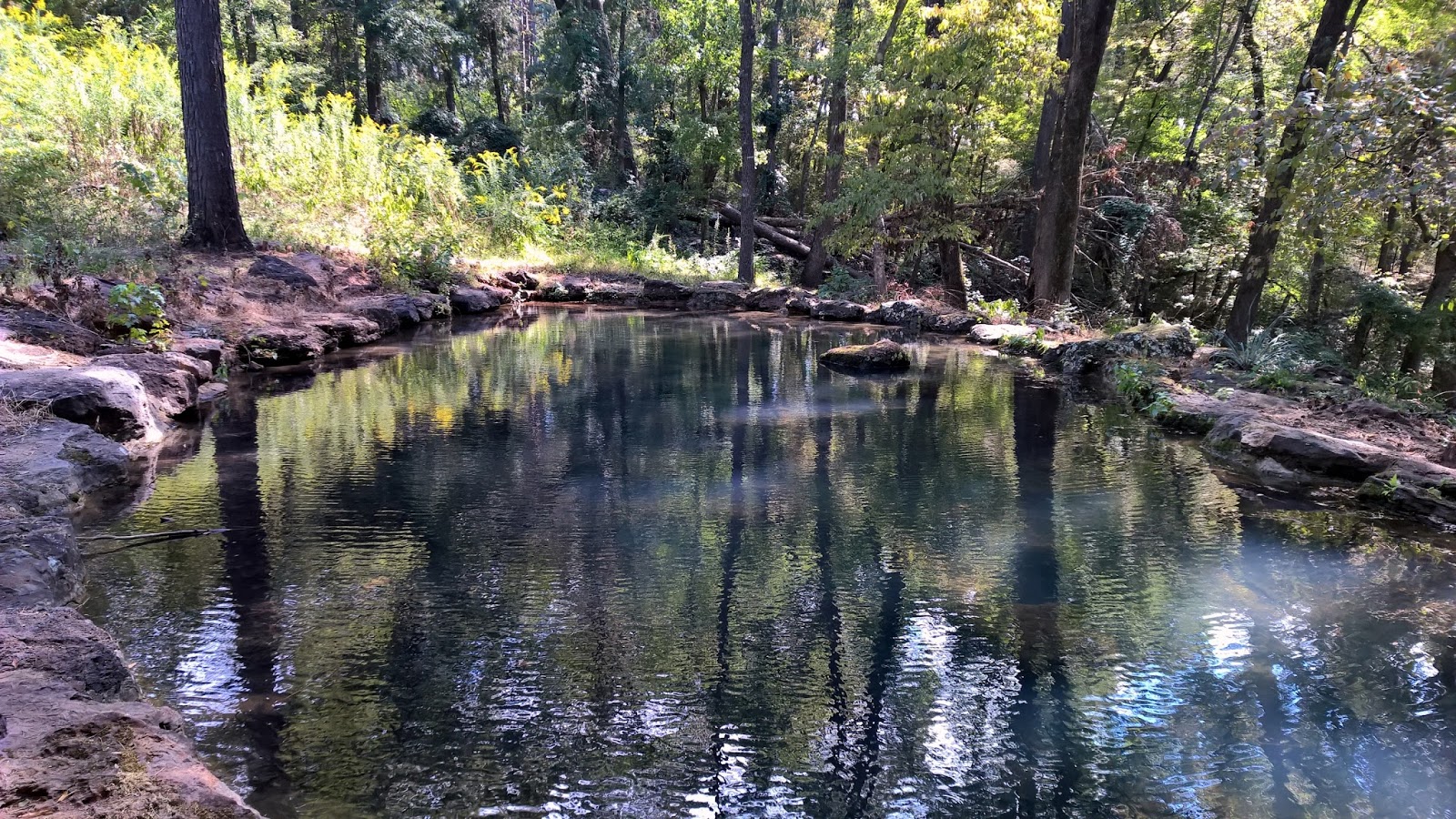 Goza's Wanderings and Wonderings: Nature Walk in Tyler State Park (just ...