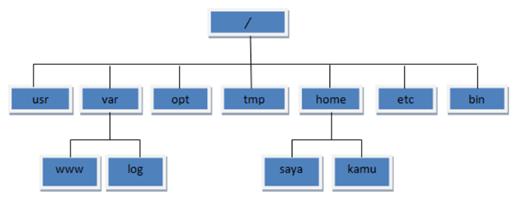 File dan Direktori pada Sistem Linux - wasito.web.id