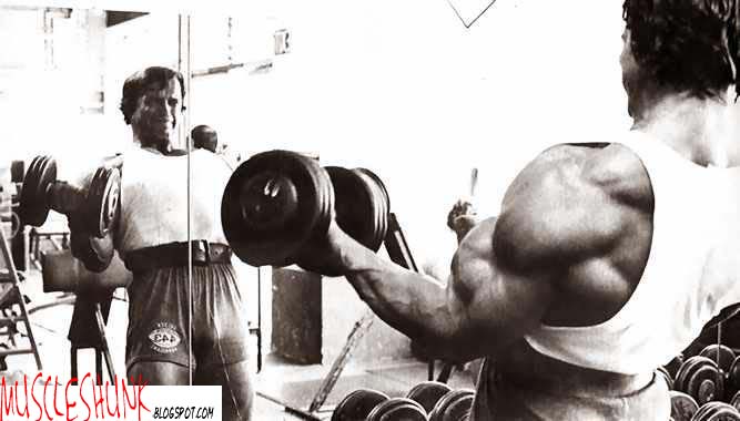 Arnold Schwarzenegger Arms Training | Bodybuilding and Fitness Zone