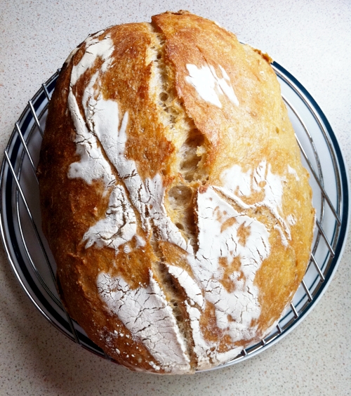 Tracey Grgic Potter: SWEET SATURDAYS: For the love of bread