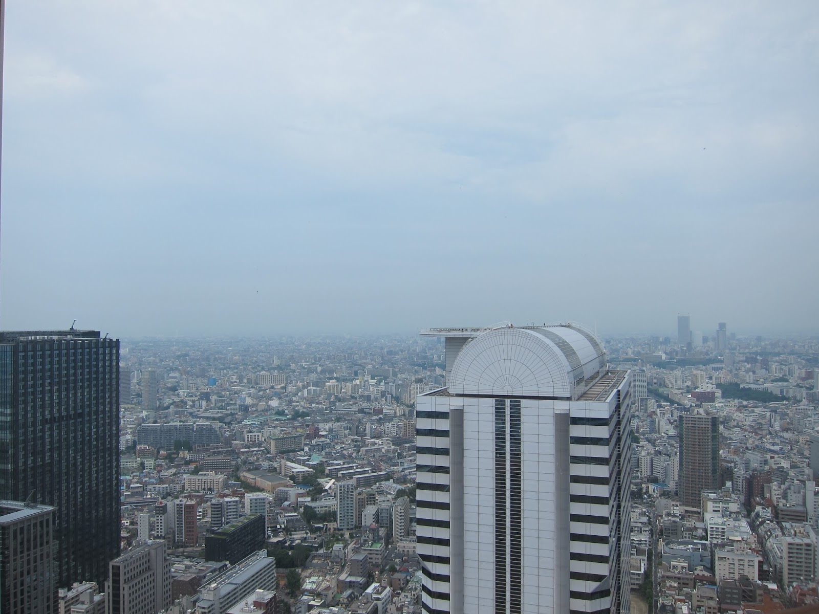 {tokyo} seryna {瀬里奈} | city lights